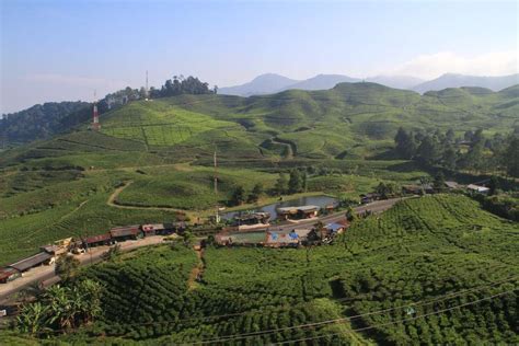 A Complete Travel Guide To Puncak Indonesia 2024 Location And Best