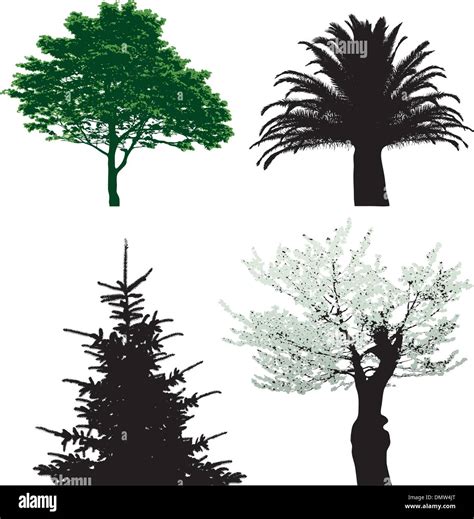 Trees Vector Collection Stock Vector Image And Art Alamy