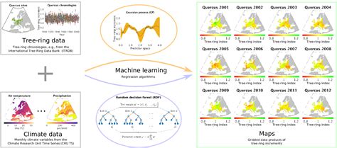 Predicting Spatiotemporal Variability In Radial Tree Growth At The