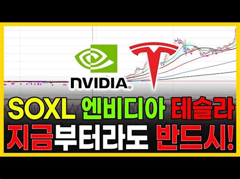 Soxl 엔비디아 테슬라 지금부터라도 반드시 리게티 컴퓨팅아이온큐 실sq 애플 팔란티어테크 마이크로스트래티지