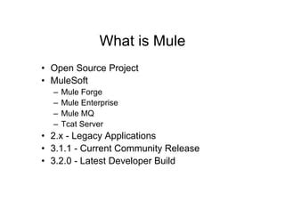Global Scale ESB With Mule PPT