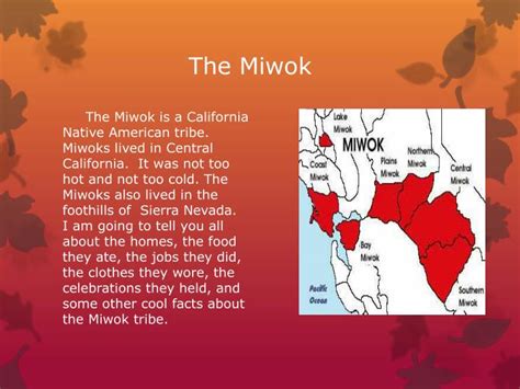 PPT - The Miwok A California Native American Tribe PowerPoint ...