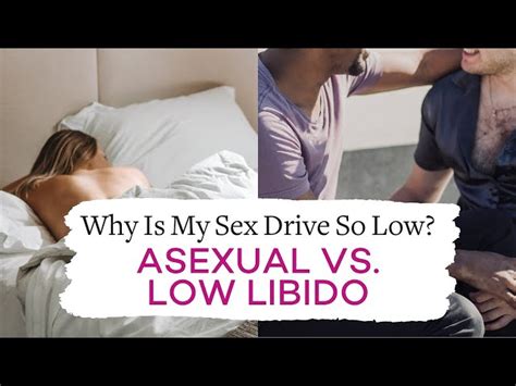 Why Is My Sex Drive So Low Asexuality Vs Low Libido D1a866