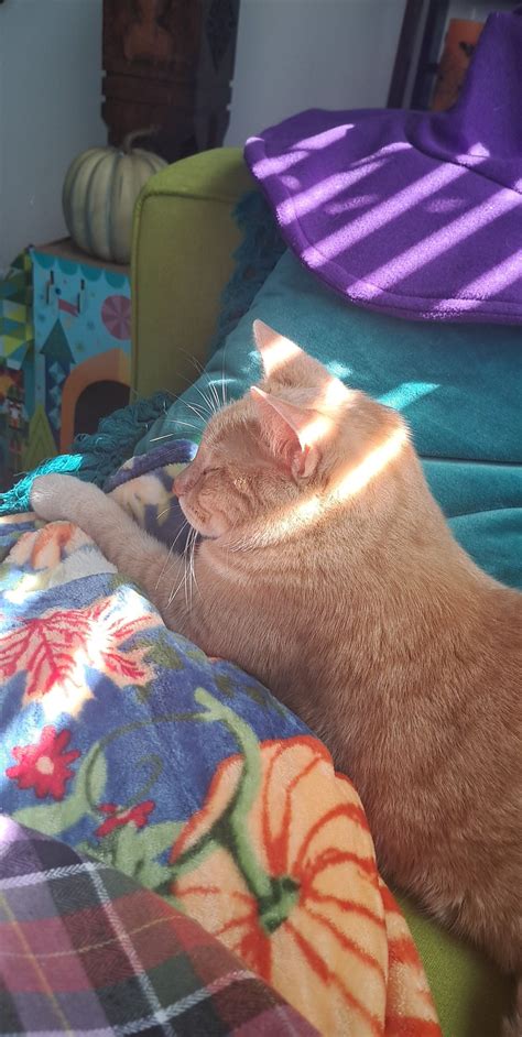 My Smooth Brained Son 💕 R Oneorangebraincell