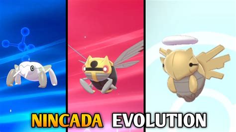 How To Evolve Nincada Into Ninjask And Shedinja In Pokemon Sword And Shield Galar Pokedex Youtube