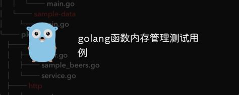 golang函數記憶體管理測試用例 golang php中文網