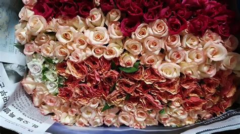 인터넷꽃도매시장 장미도매꽃집 꽃집창업 부산꽃집 예쁜꽃집 인천꽃집 강남꽃집 대구꽃집 부천꽃집 송도꽃집 연남동꽃집 꽃도매 부산꽃도매 Youtube