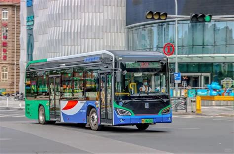 Latest Qingdao Travel Guide With Local Insights 2025