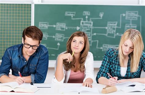 Foundations Theory Classes Online Dog Training By Tobias Oleynik