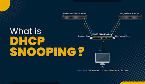 What Is DHCP Snooping And How It Works PyNet Labs