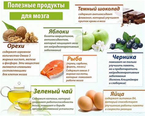 Витамины для памяти и работы мозга взрослым