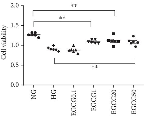 Effect Of Egcg On Hk 2 Cell Viability Under Hg Conditions A Effect Download Scientific