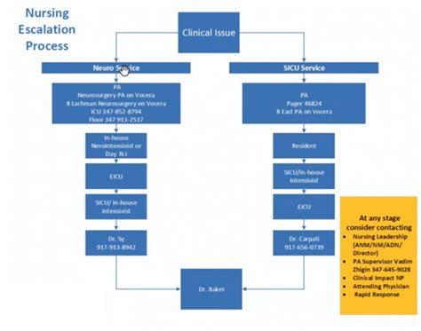 Peripheral Brain Page 4 For Neurocritical Care Experts