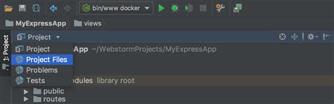 Project Tool Window WebStorm