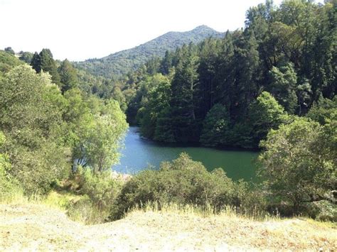 Phoenix Lake Trail Is A 29 Mile Out And Back Trail Located Near San