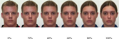 Physical Attraction Feminine Faces And Why ‘the Johnny Depp Effect