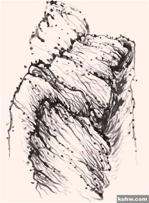 一步一步学画常用皴法（上） 酷画网