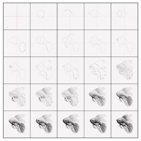 How To Draw A Fish A Step By Step Tutorial Artlex