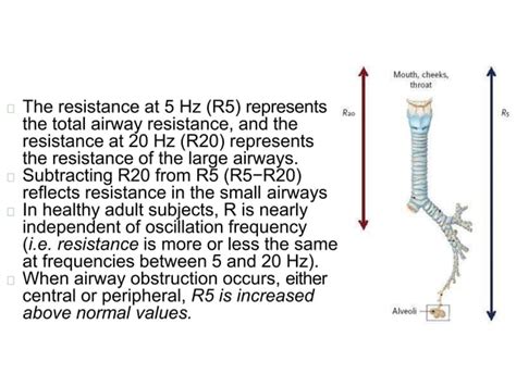 Common Pulmonary Functions And Interpretation Pptx