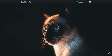 github ogulcancicek shopping cart