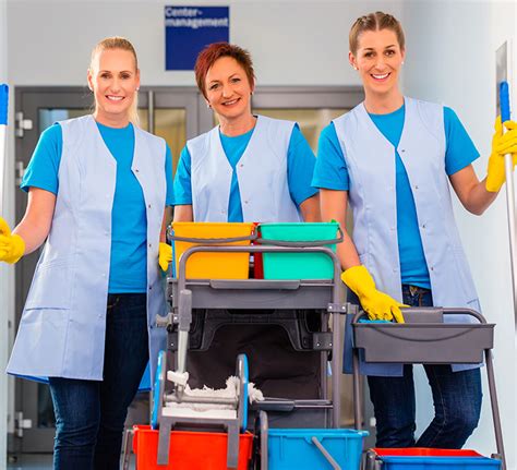 Some Steps In Our Work Process Cleaning Services