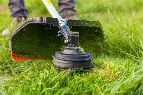 Покос трави на ділянці на дачі біля будинку Удаление поросли уборк Послуги садівника