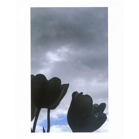 Cahiers Dart Shop Artist Editions Rachel Rose Morning From The