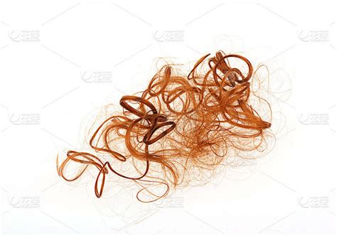 脱发问题孤立在白色背景