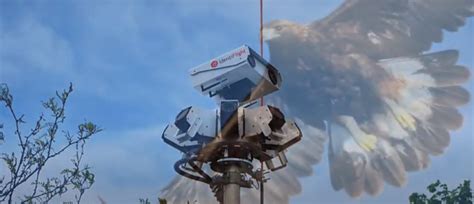 Identiflights Ai Powered Bird Detection Systems Save Eagles From Wind Turbines Dailyalts