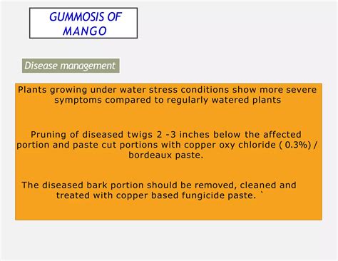 Azan 06 Mango Insect Pests And Diseases Pptx