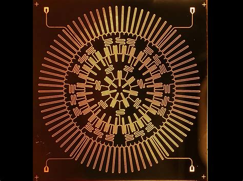 Hyperbolic Plane On A Chip Enables Quantum Simulation
