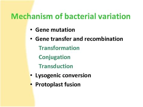 Bacterial Variation Phenotype Nonhereditary Reversible Morphology Cultural Physiological