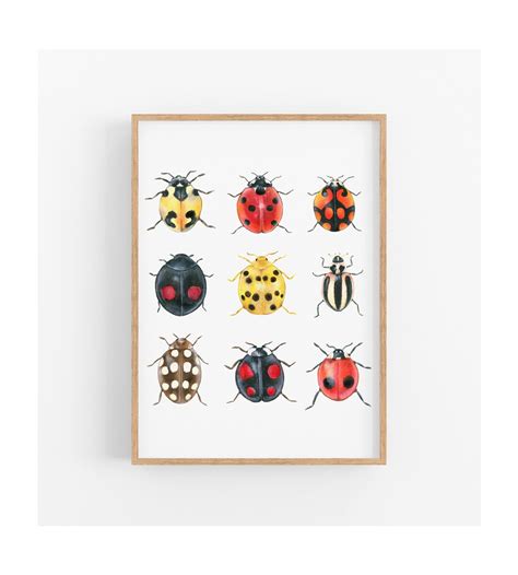 Lady Bugs Print Insect Print Nursery Wall Art Nursery Etsy