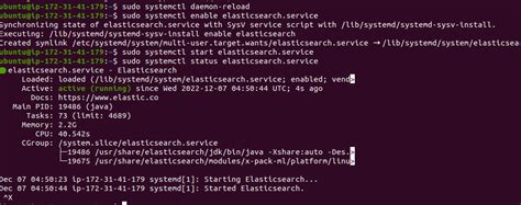 How To Install Magento In AWS Beginners Guide