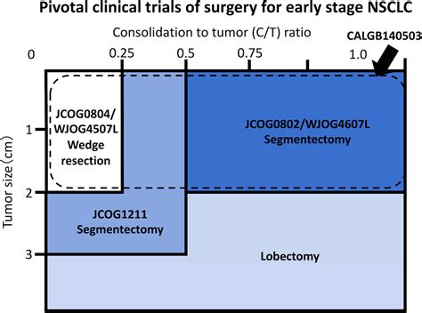 Frontiers Segmentectomy For Patients With Early Stage Pure Solid Non Small Cell Lung Cancer