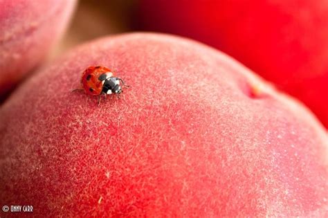 Picco Support We Fix Bugs On Linkedin 88 Of People Will Abandon An