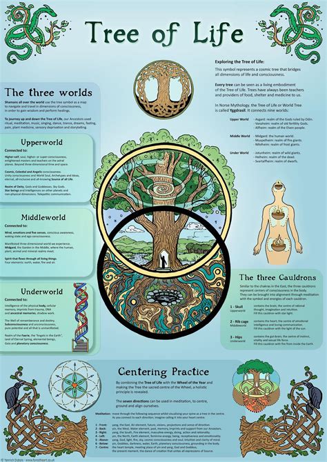 Tree Of Life Ecofriendly A3 Print Wall Art Poster Infographic Correspondence Chart Celtic