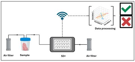 unraveling the chicken meat volatilome with nanostructured sensors
