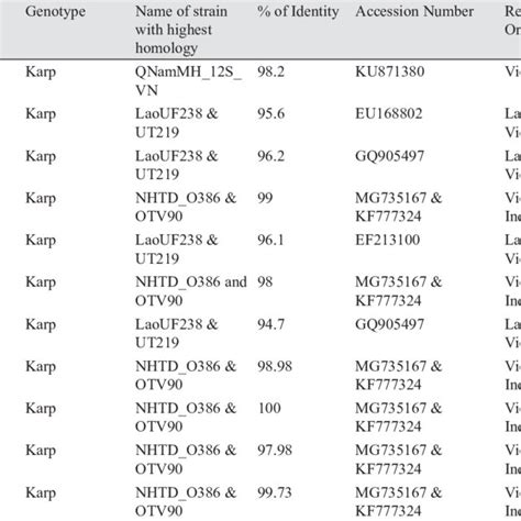 Ncbi Accession Number Sequence Homology And Origin Of O Tsutsugamushi