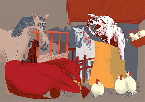 Create Meme Barnyard Pictures Meme