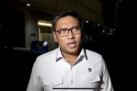 3 000 Sapi Perah Australia Masuk Ri Menyusul Sapi Dari Brazil Bumninc