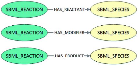 Visualization Of The Queried Structures To Export Sbml Reaction Download Scientific Diagram