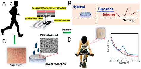 Magnetic Porous Hydrogel Enhanced Wearable Patch Sensor For Sweat Zinc