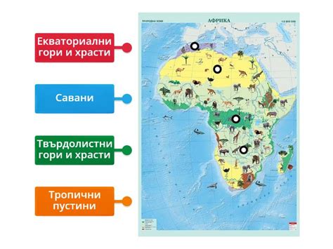 Природни зони на Африка Labelled Diagram