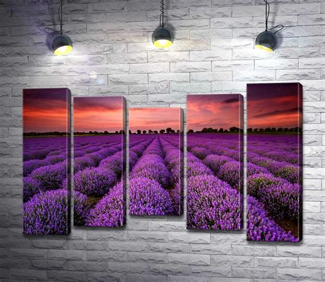 Модульна картина Artposter Яскраве лавандове поле у освітленні рожевих переливів вечірнього неба
