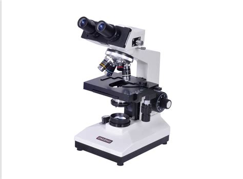 Compound Light Microscope Diagram Quizlet