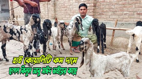 হাই কোয়ালিটি ছাগল কম দামে কিনুন আবু সাঈদ ভাইয়ের কাছ থেকে Goatfarming তোতাপুরি ছাগল Youtube