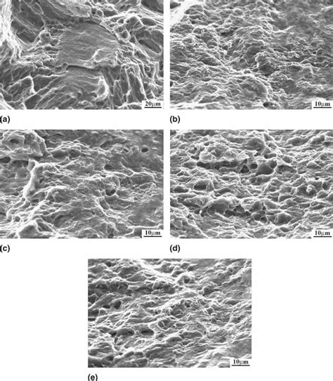 Sem Micrographs Of The Fracture Surfaces Observed In The Samples After