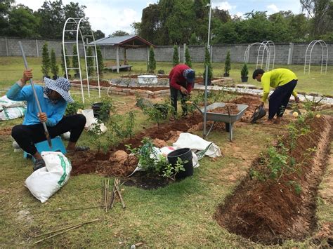 เคยมั้ย ไปเที่ยวเมืองนอกเห็นกุหลาบเลื้อยสวยๆอยู่ทั่วๆไป มองกลับมาที่หน้าบ้านตัวเอง อยากมีบ้างใช่