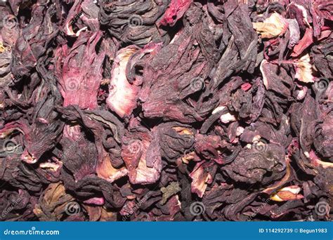 Tea Carcade Dried for Brewing Stock Image - Image of closeup, nature ...